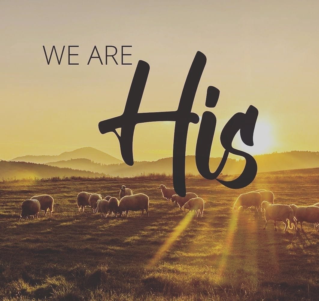 We’re God’s Sheep – Sparkling Bw-Tee's